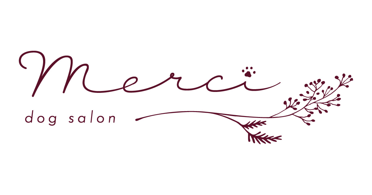 シャンプー・カット - 島根県浜田市のドッグサロンメルシー | Dog salon Merci